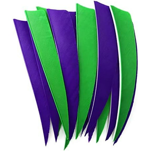 Archery 60pcs Arrow Feathers 4 inch Hunting Arrows Fletching Right Wing ...