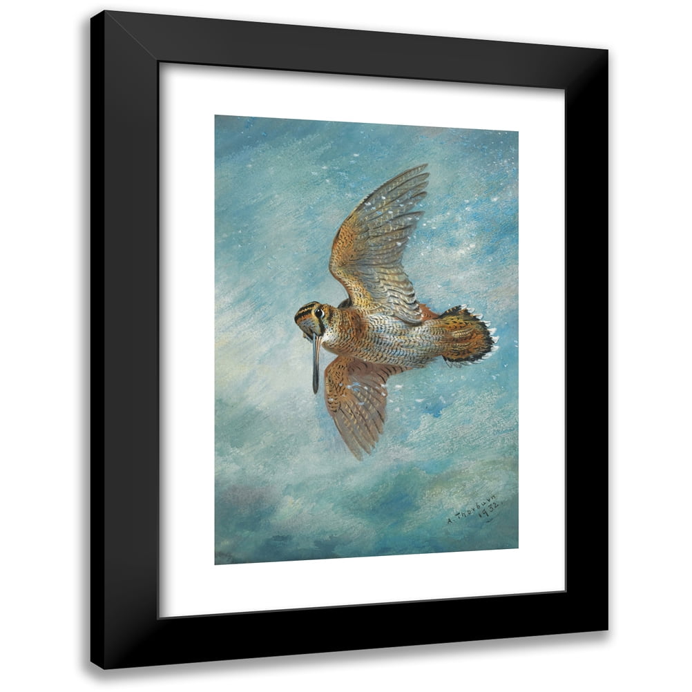 Archibald Thorburn 11x14 Black Modern Framed Museum Art Print Titled ...