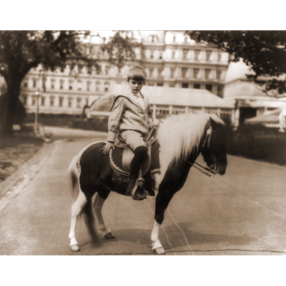 Archie Roosevelt History Poster Print - Walmart.com