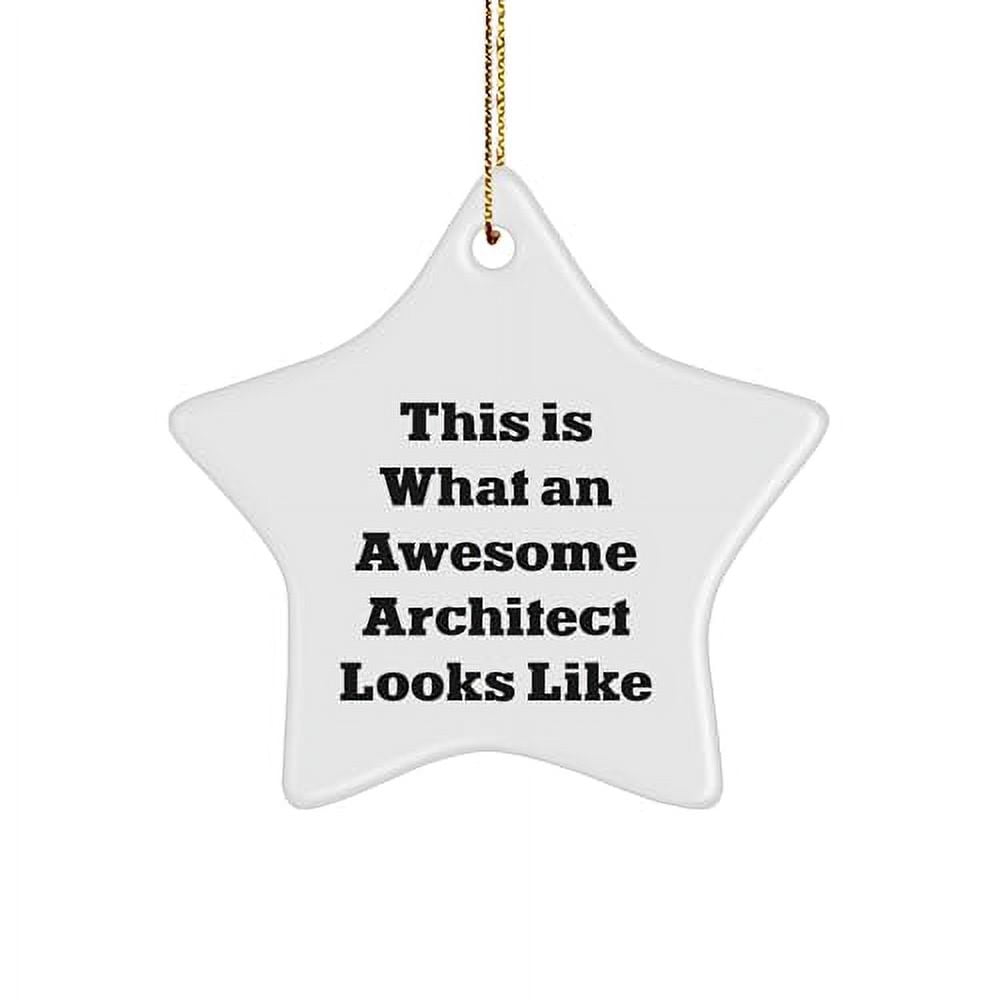 Architect Gifts This Is What an Awesome Architect Looks Like Christmas ...