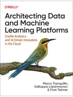 Architecting Data and Machine Learning Platforms: Enable Analytics and ...