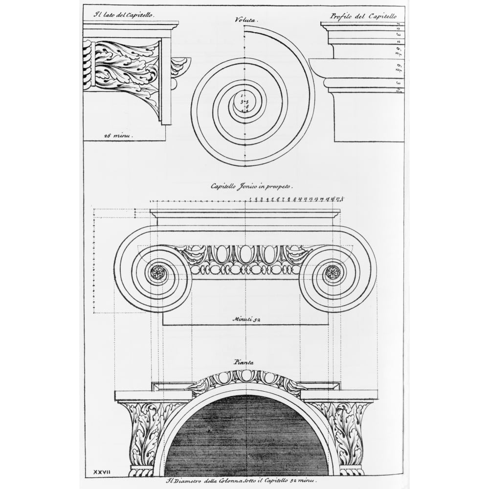 Architectural Drawing For An Ionic Capital By Italian Renaissance ...