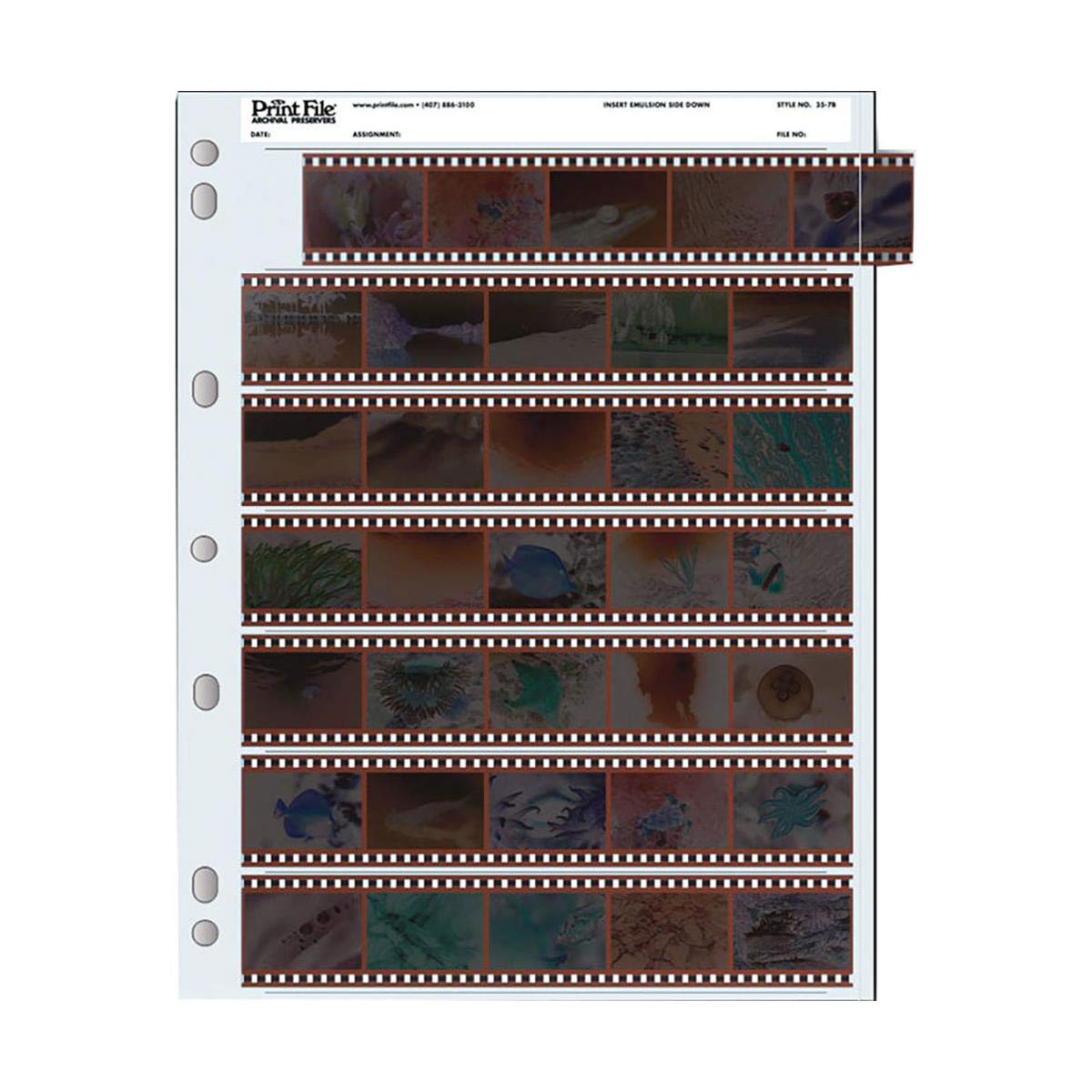Archival 35mm Size Negative Pages Holds Seven Strips of Five Frames ...