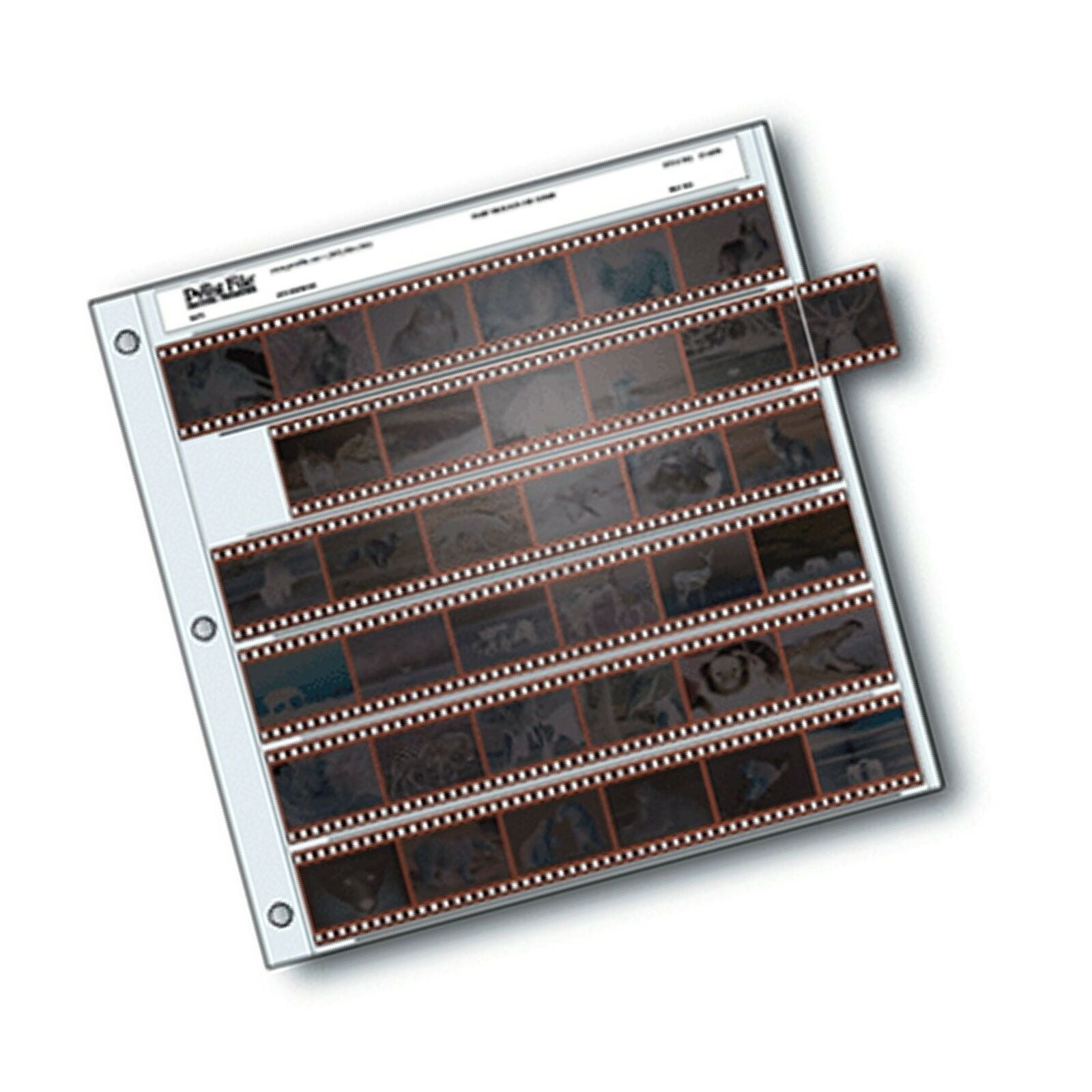 Archival 35mm Size Negative Pages Holds Six Strips of Six Frames, Pack ...
