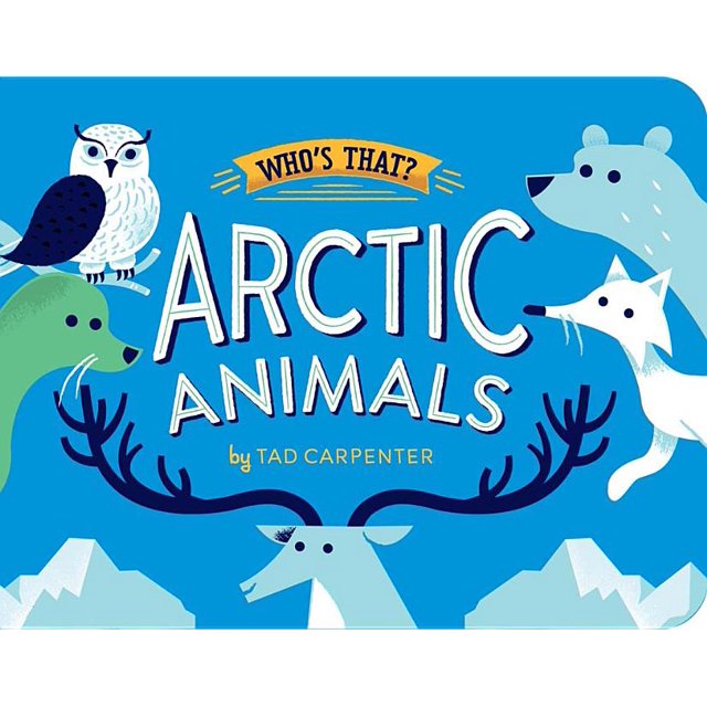 Arctic Animals (Board Book) - Walmart.com