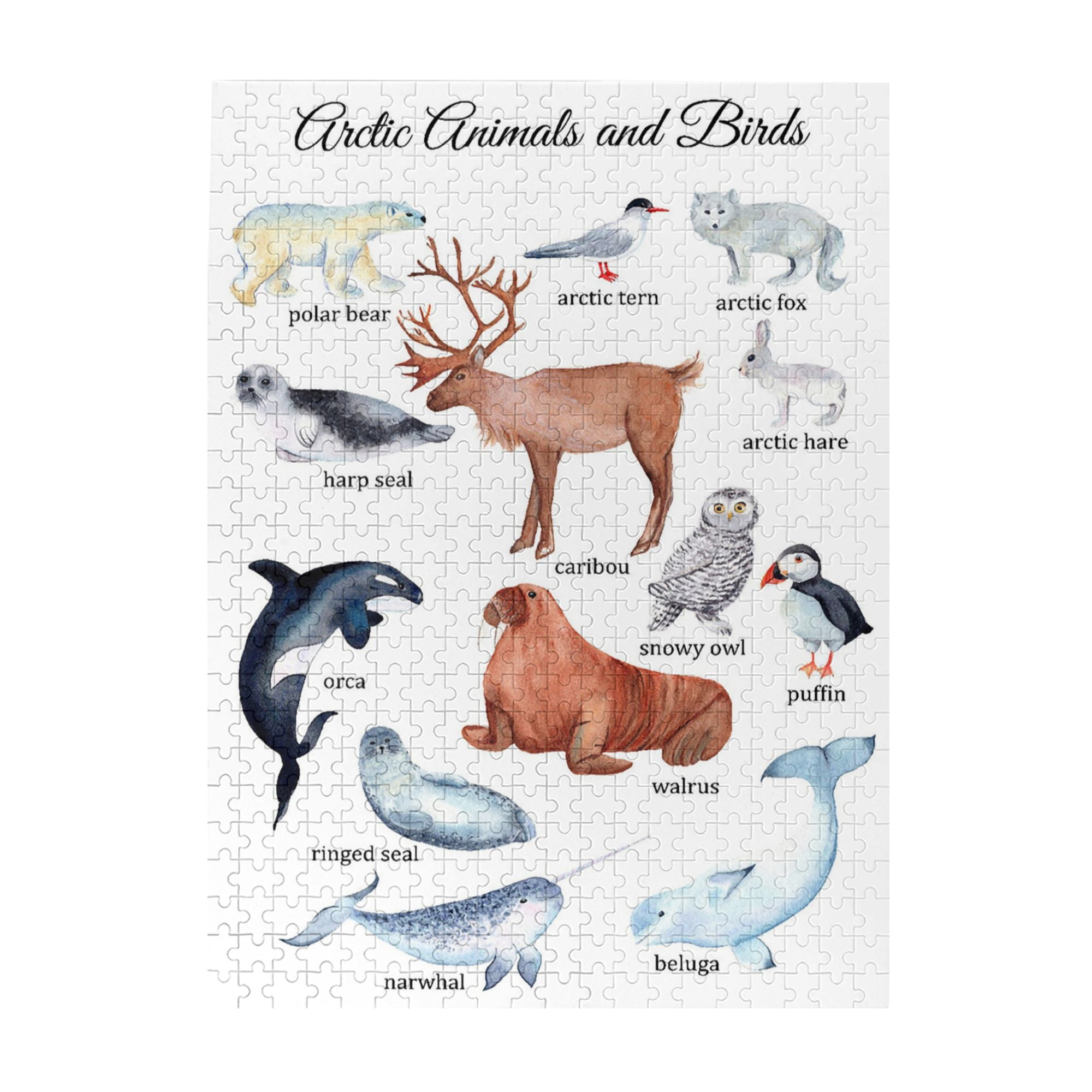Arctic Animals Montessori puzzle, Educational puzzle, Polar Bear ...