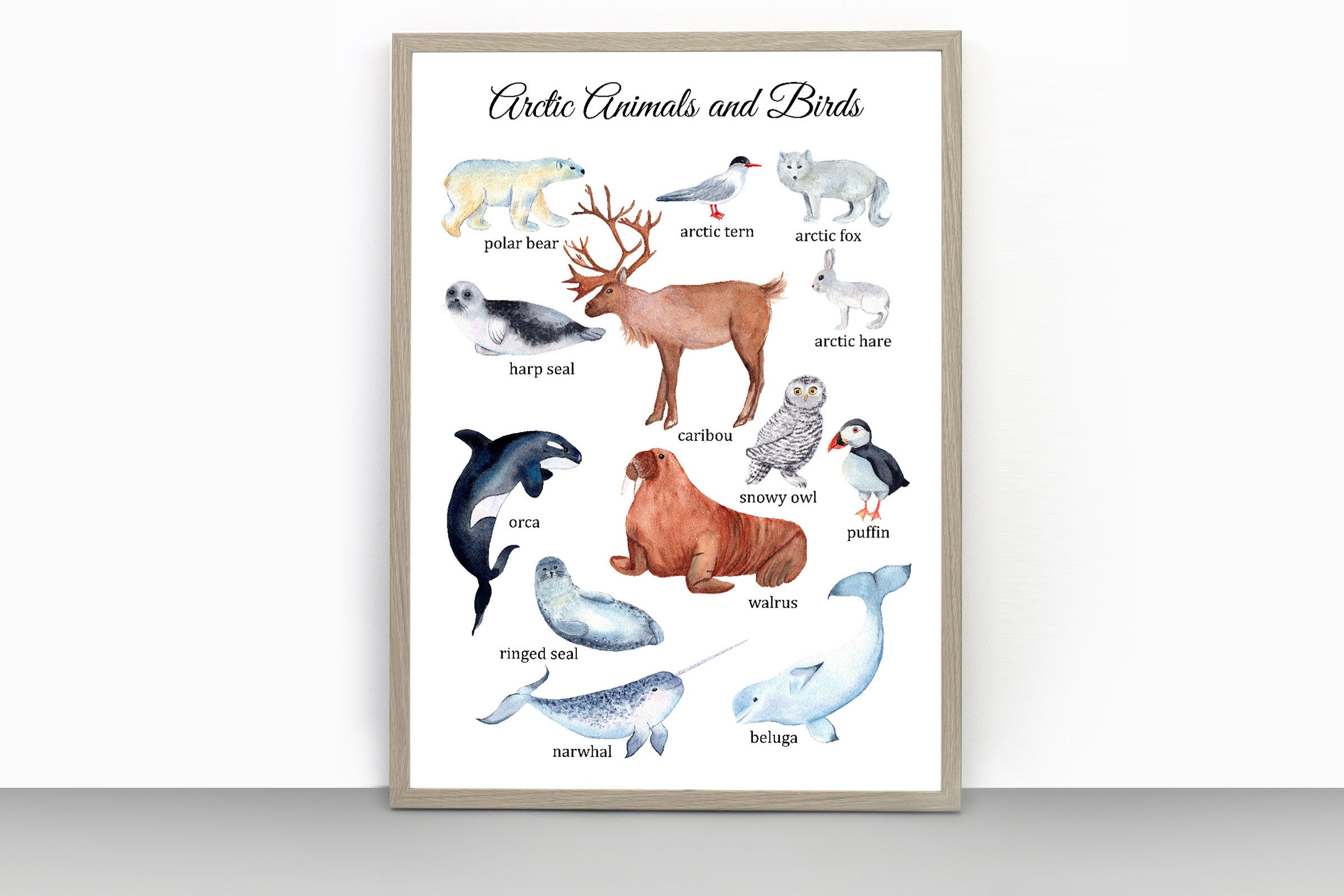 Arctic Animals Poster, Educational Poster, Polar Bear Printables ...