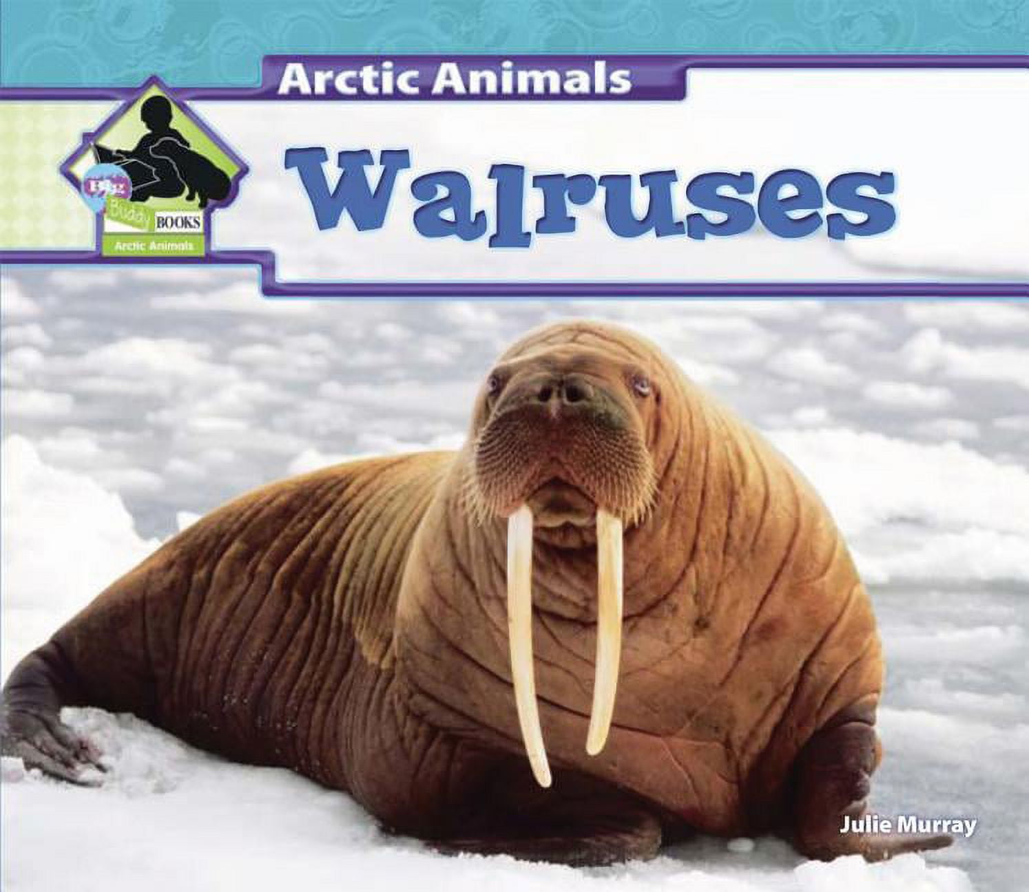Arctic Animals: Walruses (Hardcover) - Walmart.com
