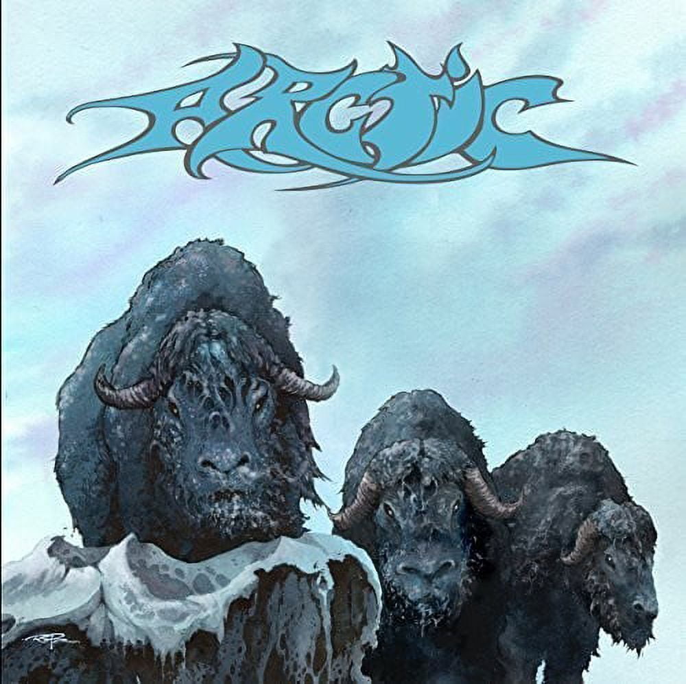 Arctic - Arctic - Music & Performance - Vinyl - Walmart.com