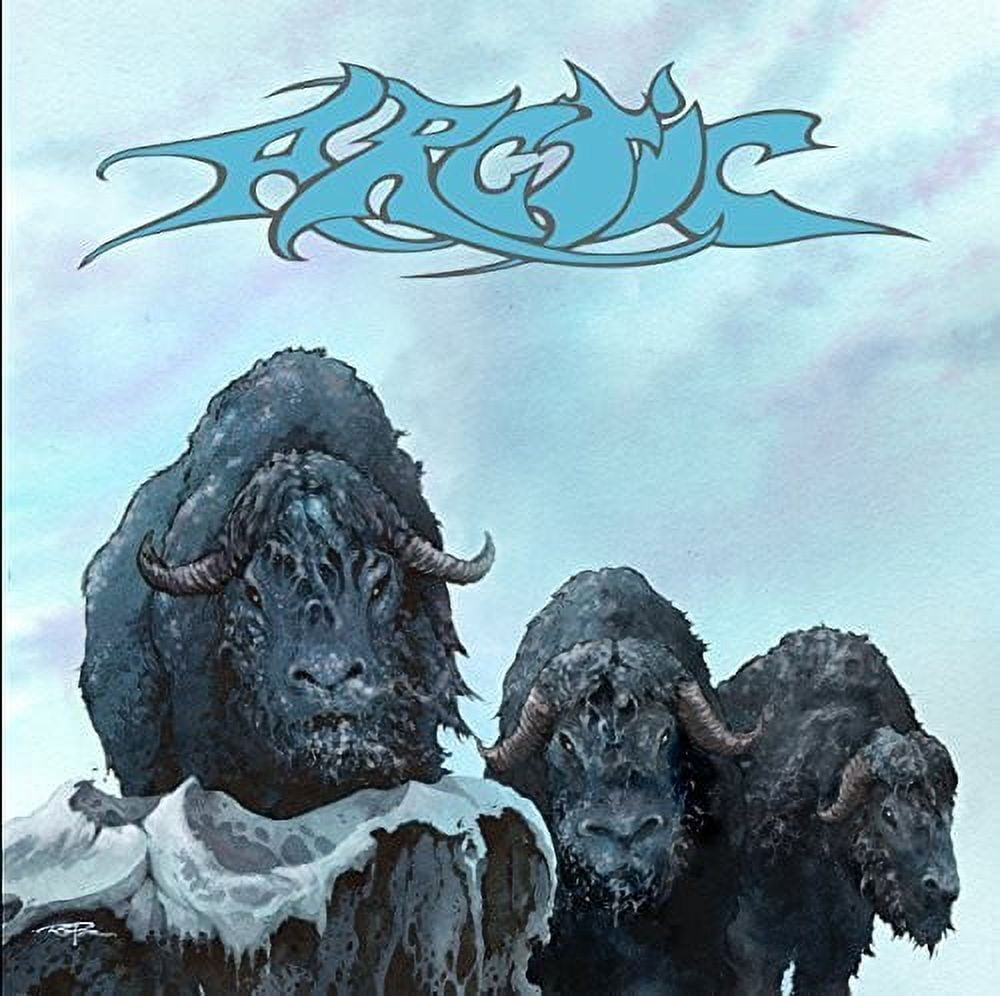 Arctic - Arctic - Rock - CD - Walmart.com