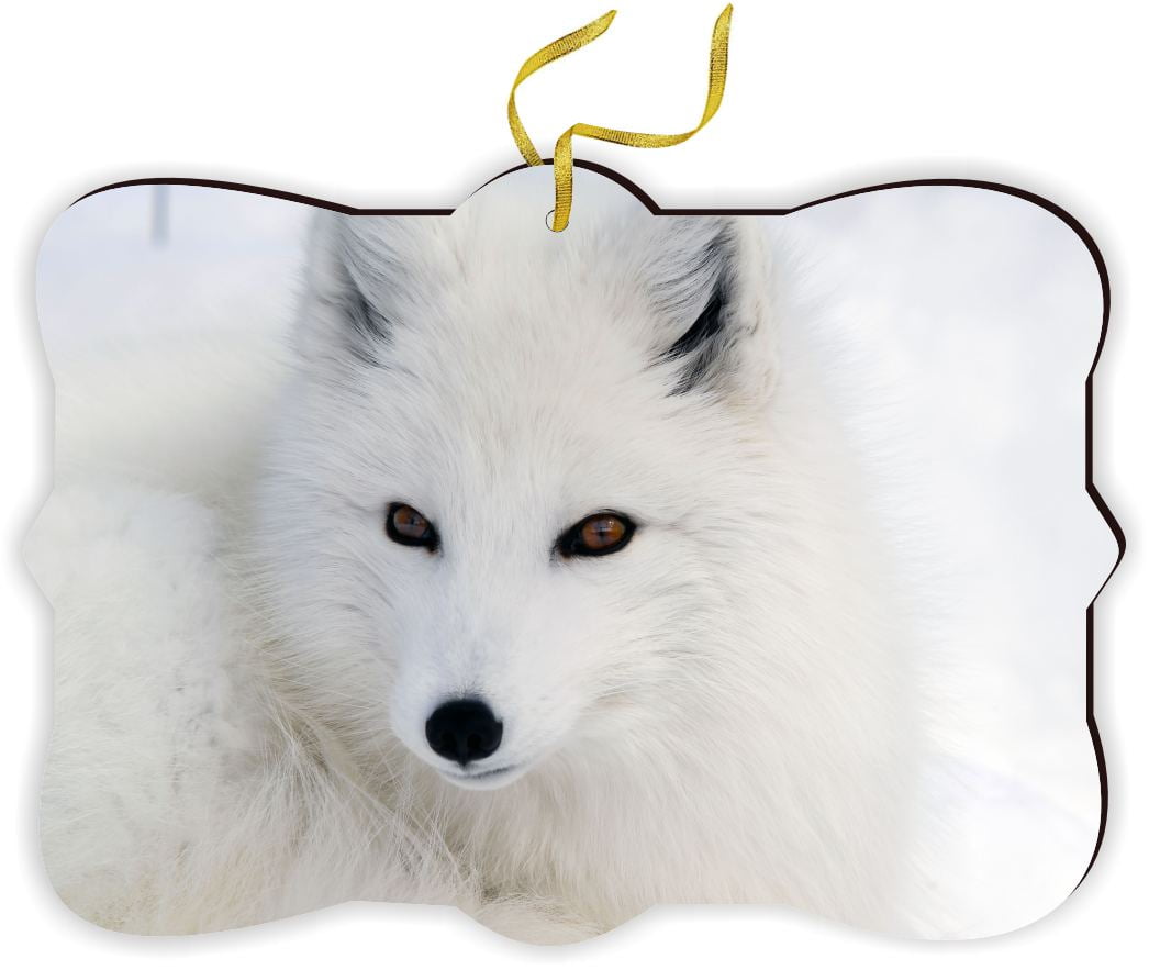 Arctic Fox - White - for Car Interior Rear View Mirror Hanger Car ...