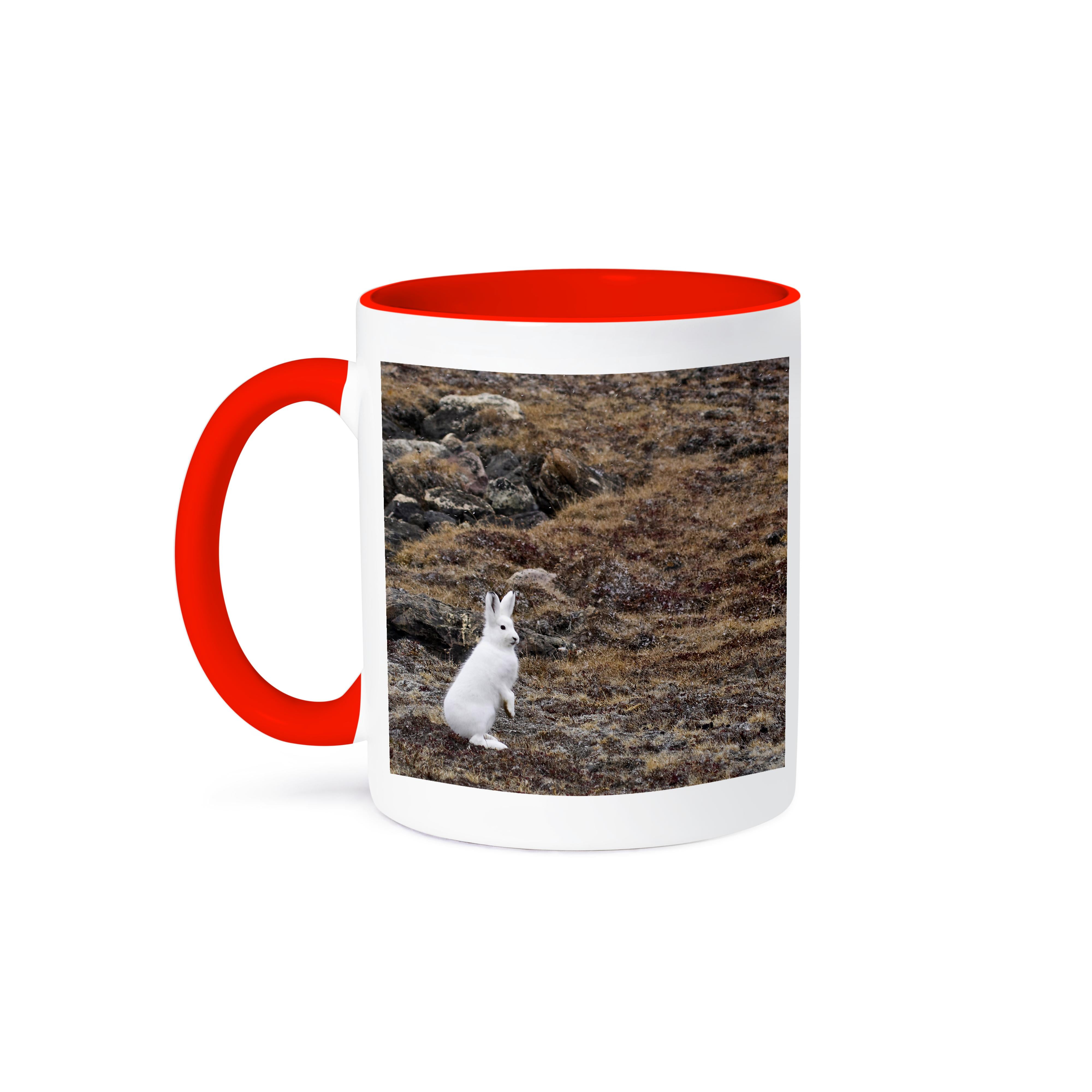 Arctic Hare, Franz Joseph Fjord, Greenland - Gr01 Dgi0002 - Daisy Gilardini, 15oz Two-Tone Red ...