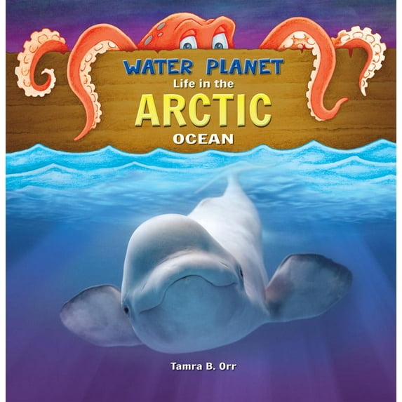 Arctic Ocean - Walmart.com