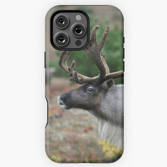 Arctic Reindeer Animal Design Phone Case for iPhone 11 12 13 14 15 16 ...