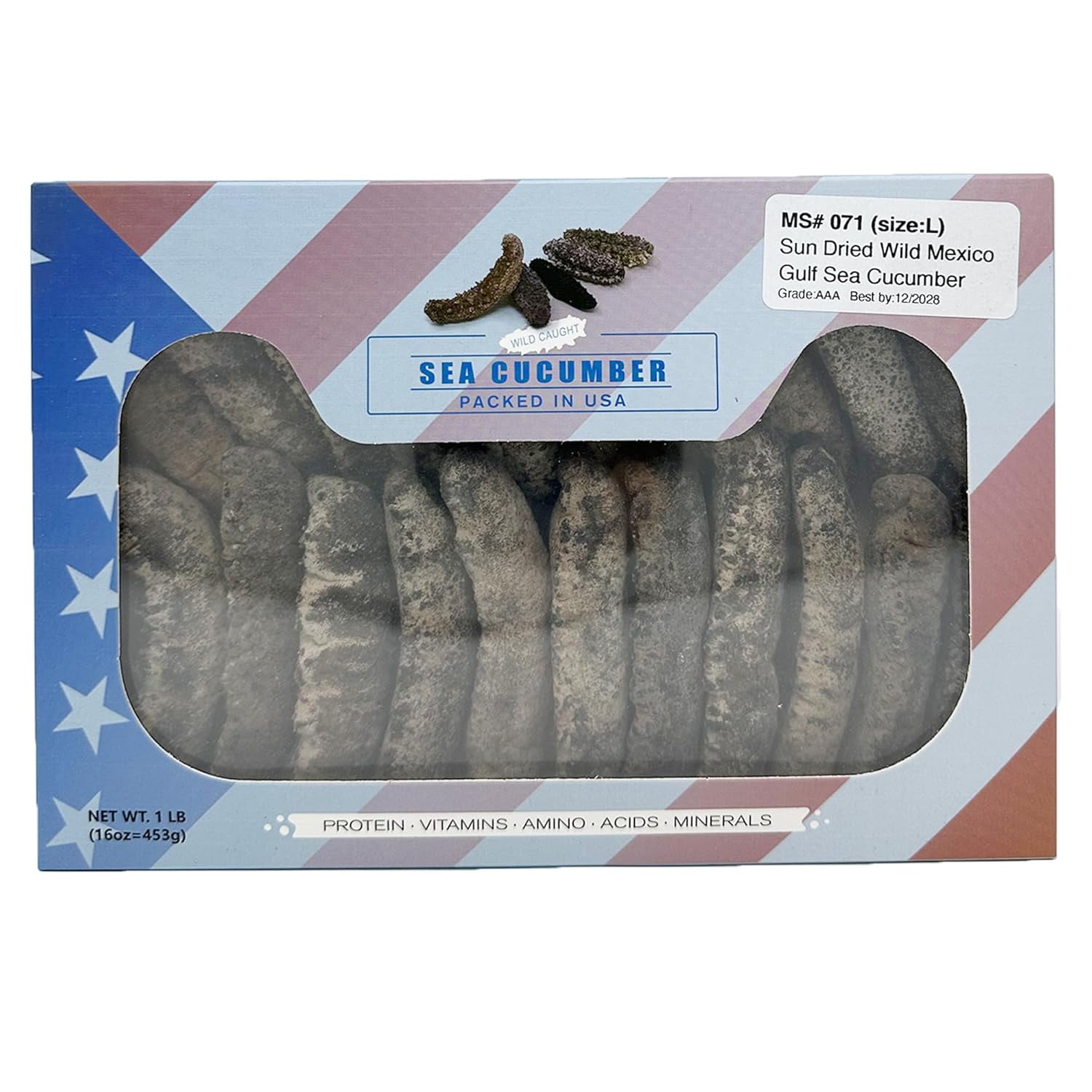 Arctic Sea Cucumber (Large-Box-16 Ounces) - Walmart.com