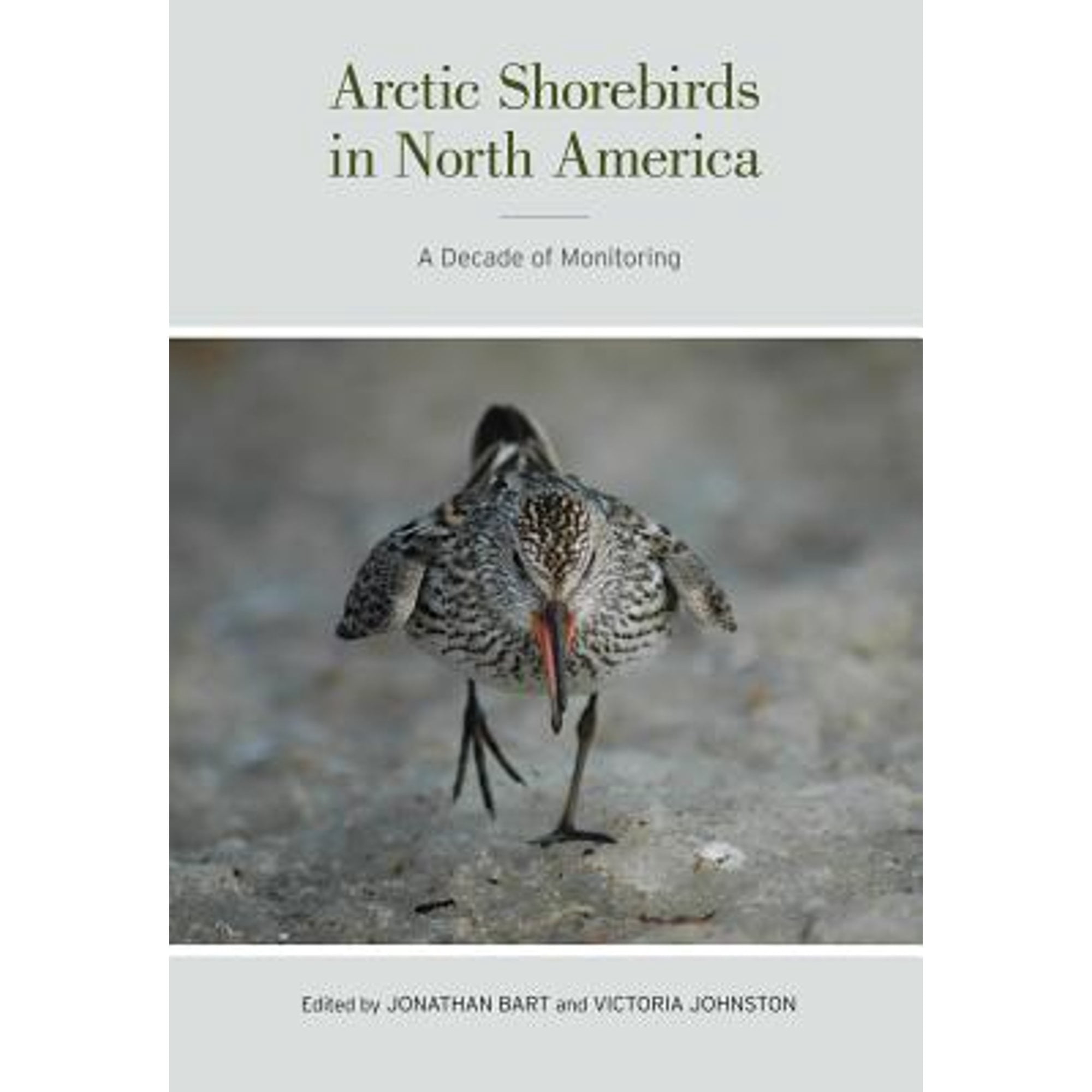 Pre-Owned Arctic Shorebirds in North America: A Decade of Monitoring ...