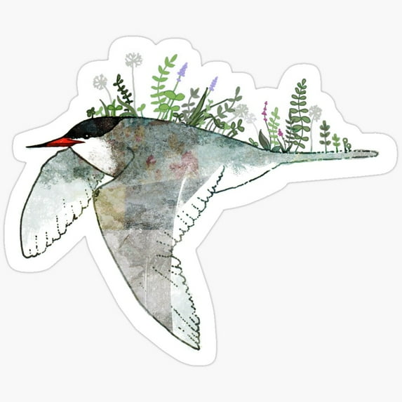 Arctic Tern Sticker Phone Decal Water Bottle Stickers Car Decals ...