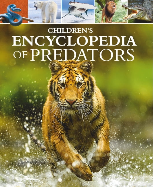 Arcturus Children's Reference Libra Children's Encyclopedia of ...