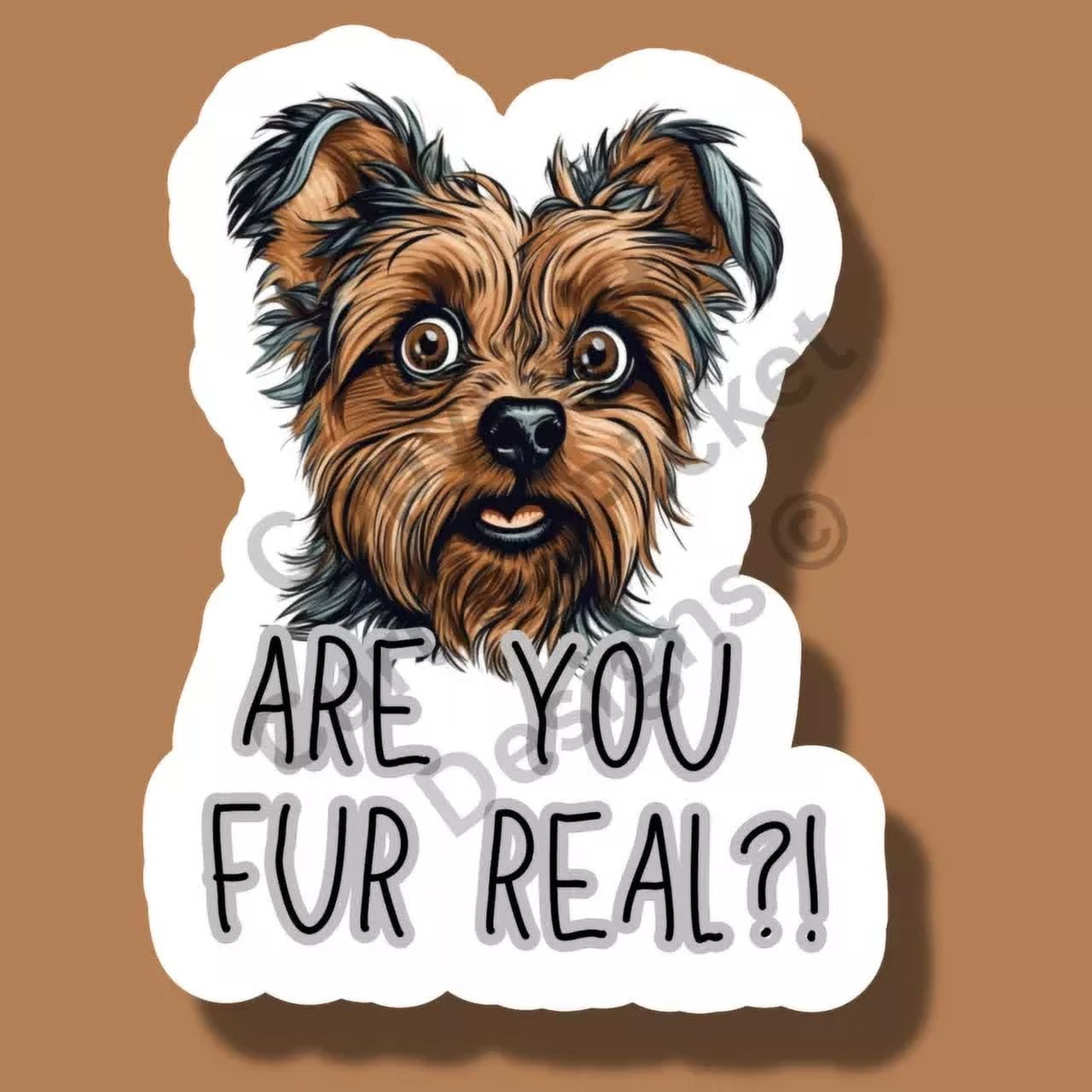 Are You Fur Real Yorkie Yorshire Terrier Dog Breed Sticker Phone Decal ...