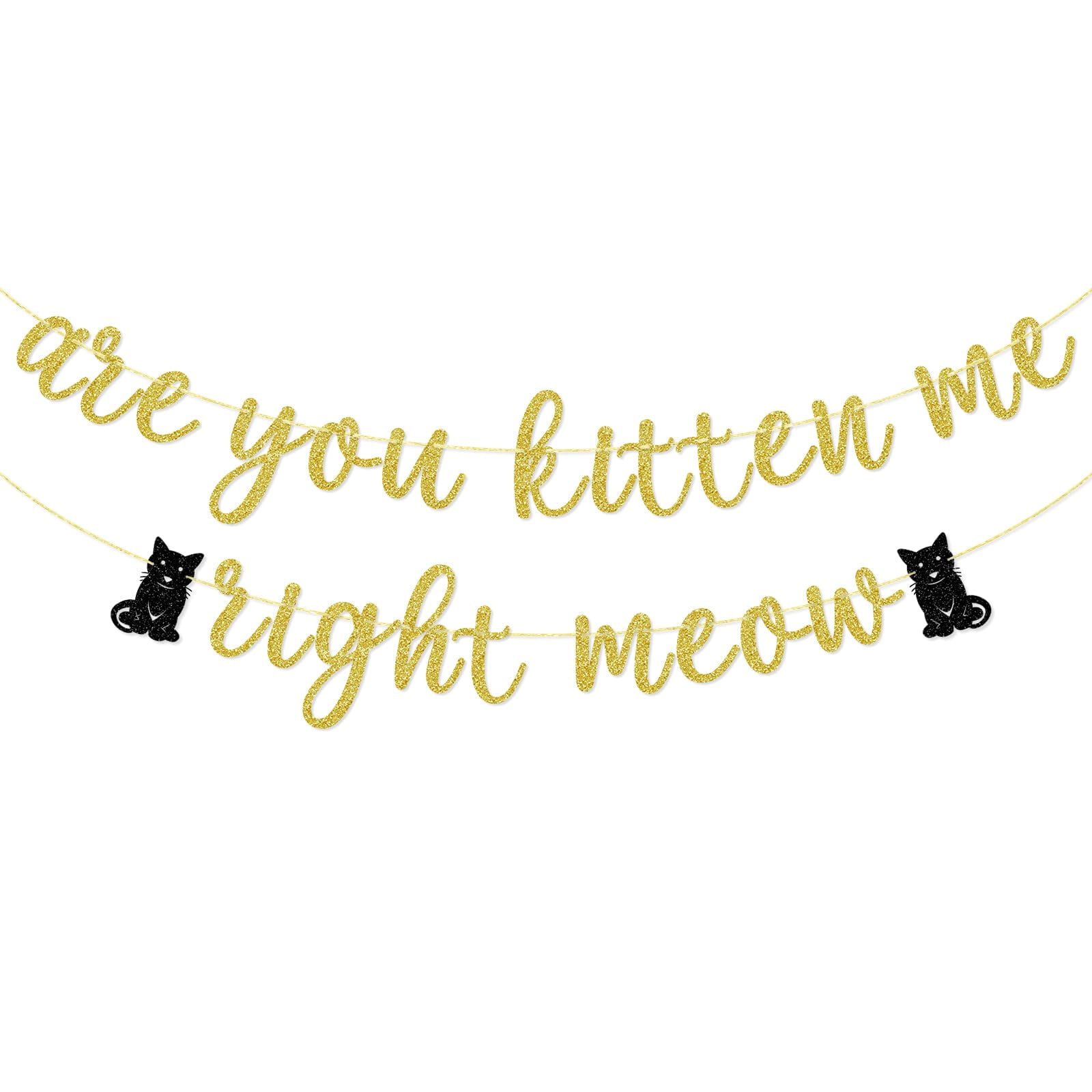Are You Kitten Me Right Meow Banner, Cat Birthday Banner, Pet Cat ...