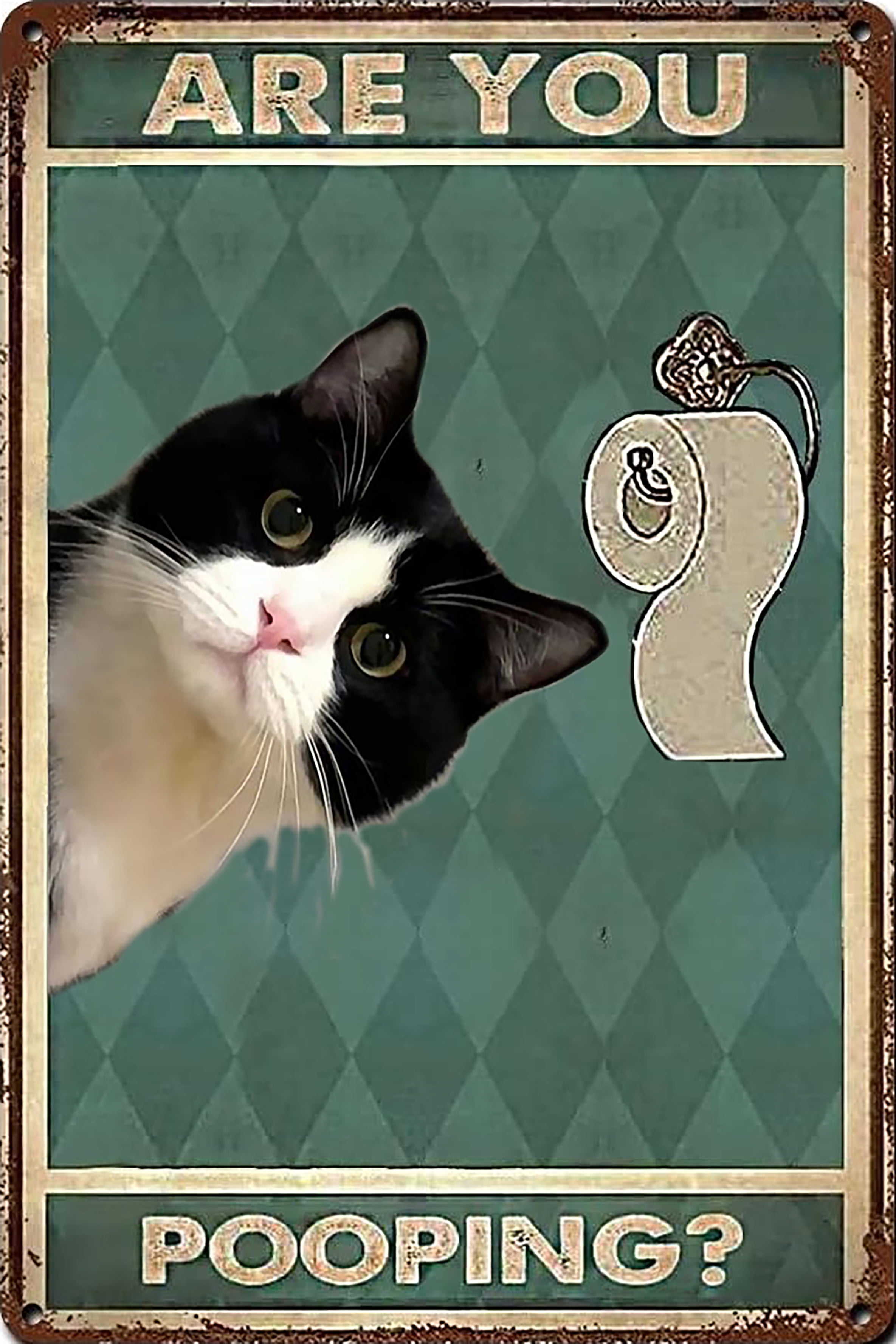 Are You Pooping Cat Sign Funny Bathroom Signs 8x12 in Metal Tin Sign ...