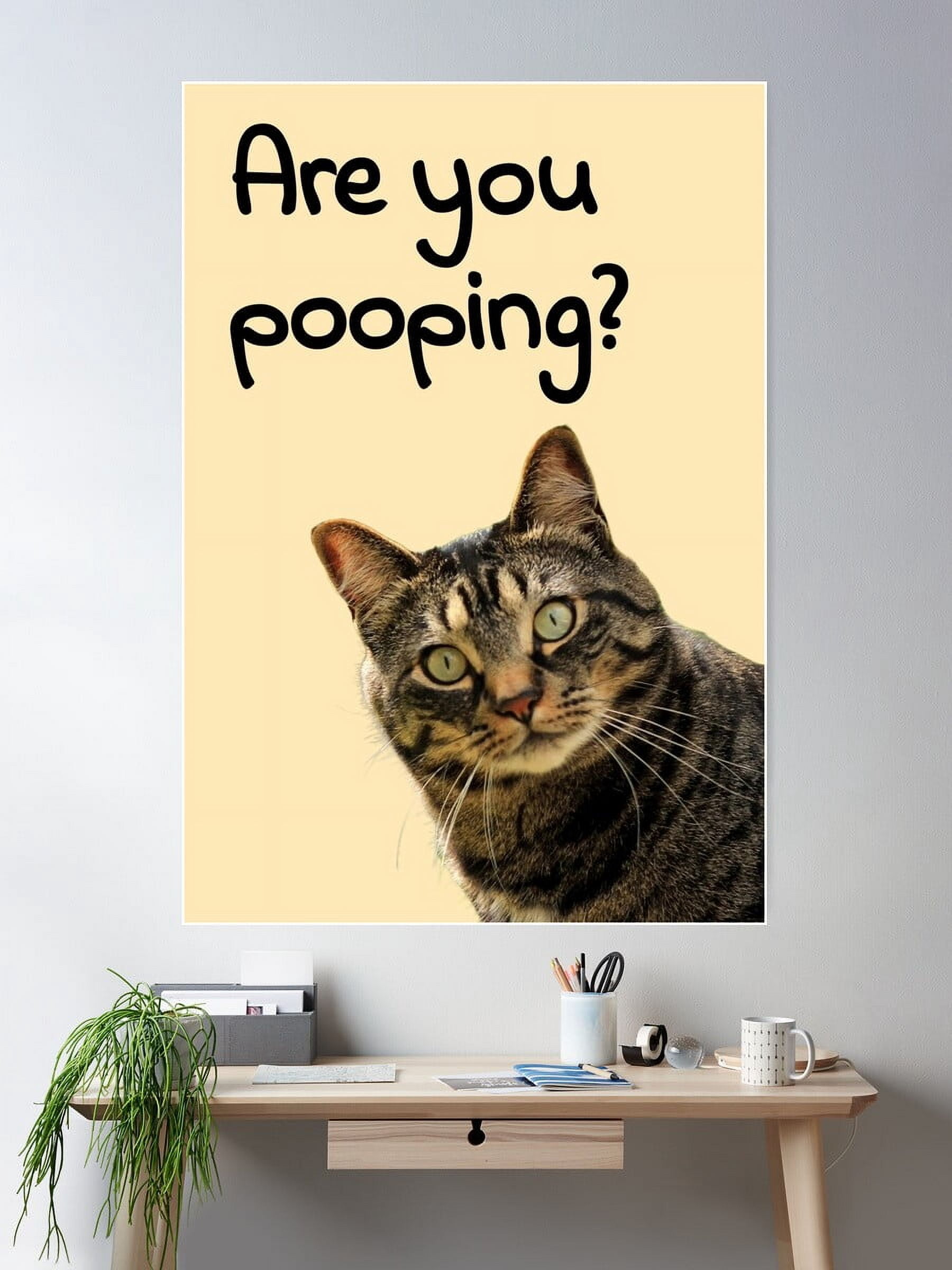 Are You Pooping? - Funny Cat For Bathroom Or Restroom Decoration Poster ...
