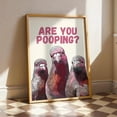 Are You Pooping Pigeon Quirky Bird Restroom Bathroom Poster Unframed ...