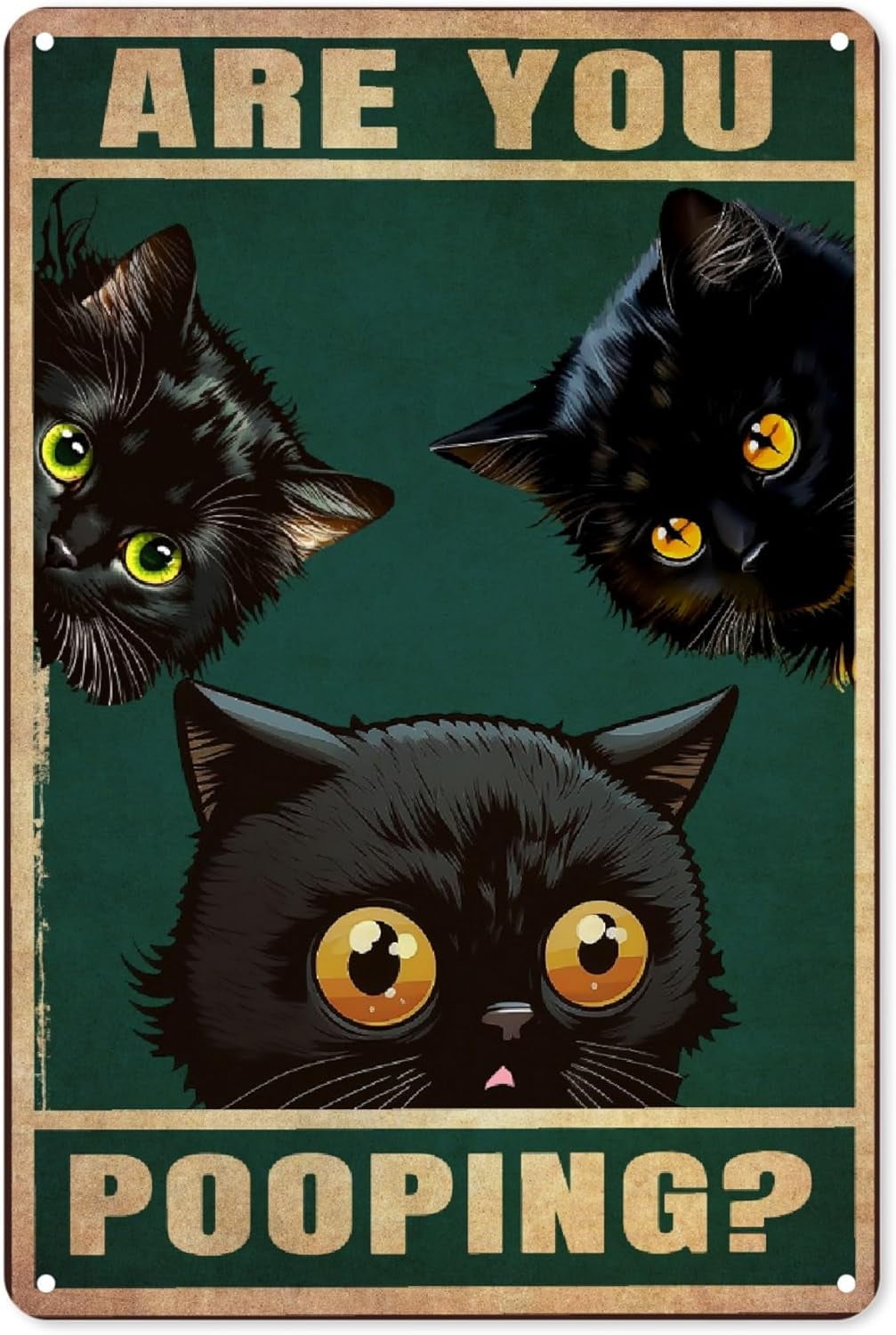 Are you pooping Poster 8 X 12 Inches Metal Metal Tin Sign, Black Cat ...