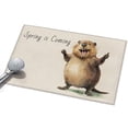 Area Rug 2x3ft Brown Groundhog Washable Area Rugs for Living Room ...