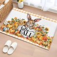 Area Rug 2x3ft, Cartoon Cute Rabbit Washable Rugs for Living Room ...