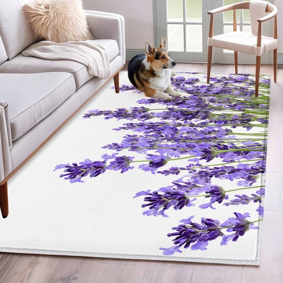 Area Rug 3x5ft Farm Purple Stoneflowers Area Rugs Washable Low Pile ...