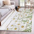 Area Rug 3x5ft Farmhouse Wildflower Daisy Area Rugs Washable Low Pile ...