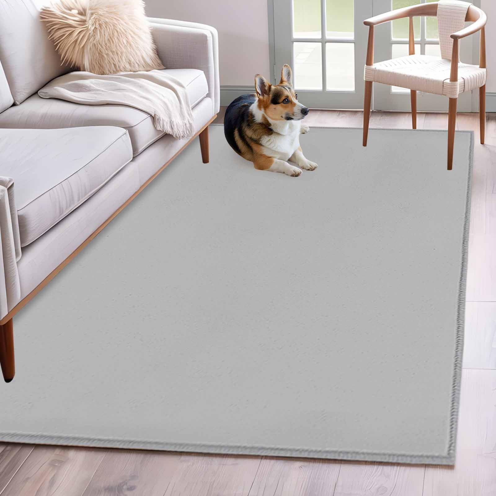 Area Rug 3x5ft Grey Solid Color Area Rugs Washable Low Pile Floor ...