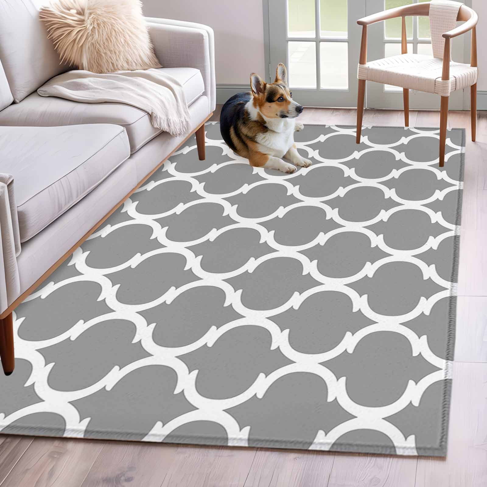 Area Rug 3x5ft Rustic Morocco Lattice Pattern Area Rugs Washable Low ...