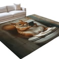 Area Rug 3x5ft Squirrel Sits on The Toilet Washable Area Rugs for ...