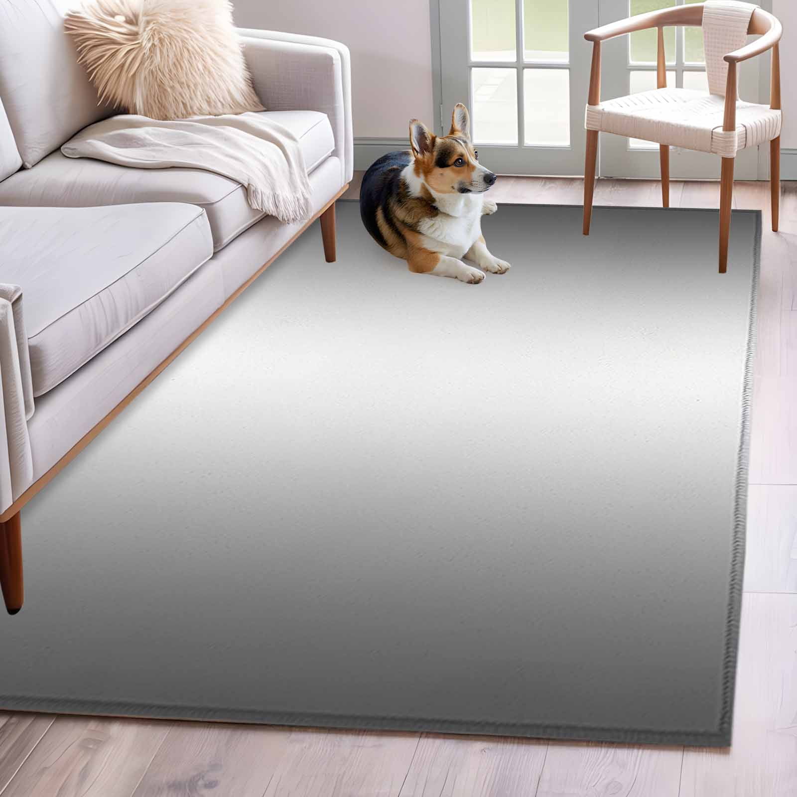 Area Rug 4'x6', Grey Ombre Non-slip Runner Rug Carpet for Bedside, Gray ...