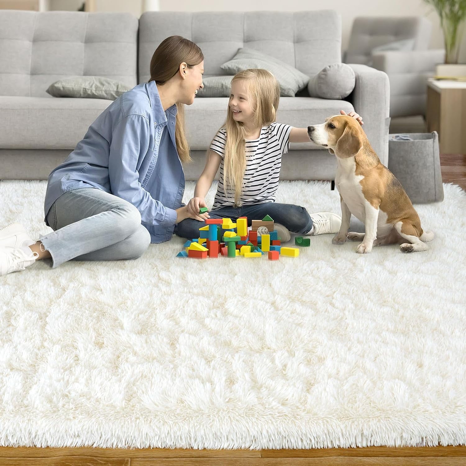 Area Rug for Living Room 6x9, Ultra Soft Shaggy Area Rugs for Bedroom ...