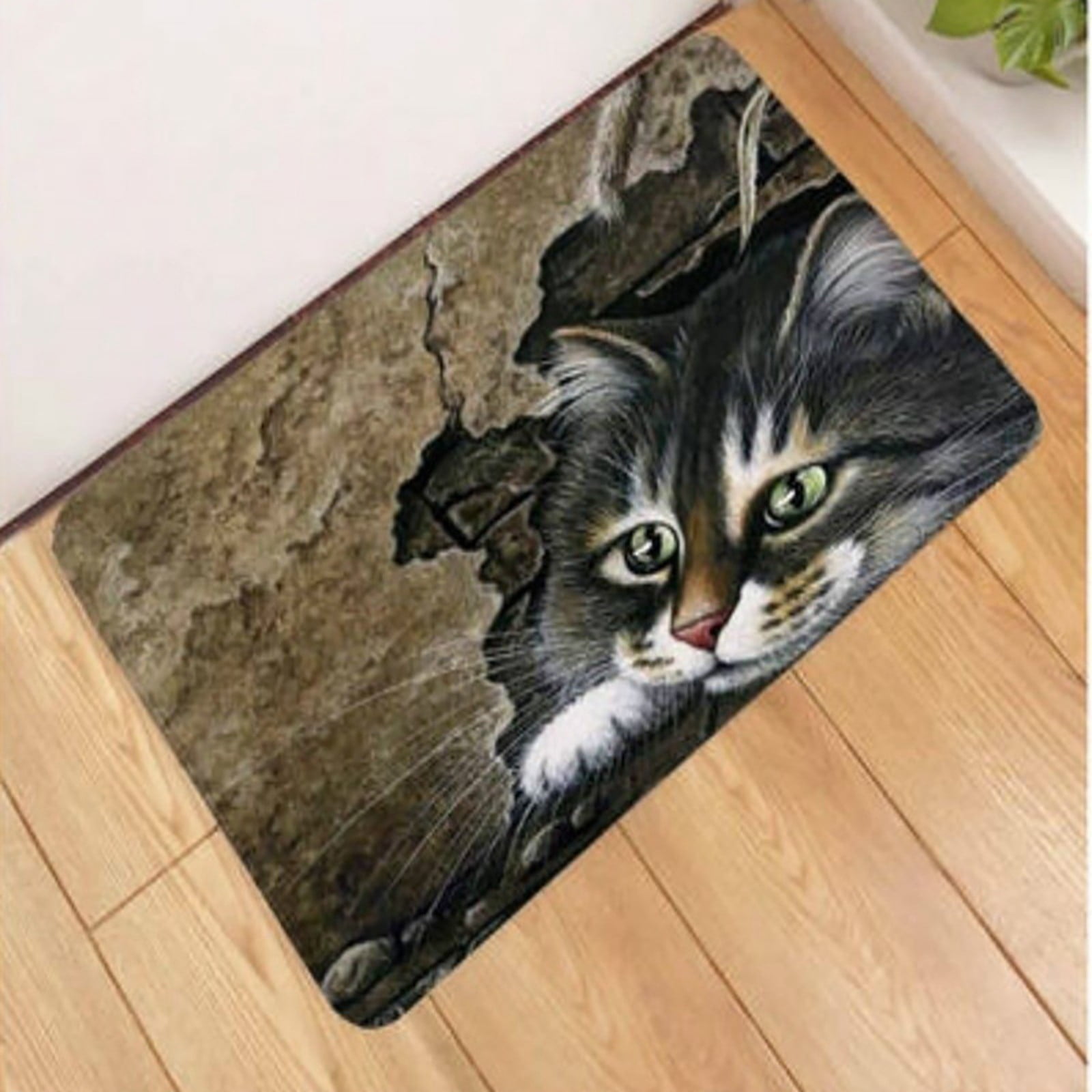 Area Rug,Living Room Rug, Dog Fun Door Mat Welcome Entrance Anti Indoor ...