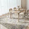 BERTHMEER 3'x5' Small Area Rugs for Entryway Office indoor Washable ...