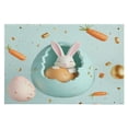 Area Rugs 23.62"x35.43" Soft Non-Slip Door Mat Machine Washable ...
