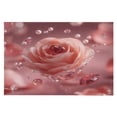 Area Rugs 23.62"x35.43" Soft Non-Slip Door Mat Machine Washable ...
