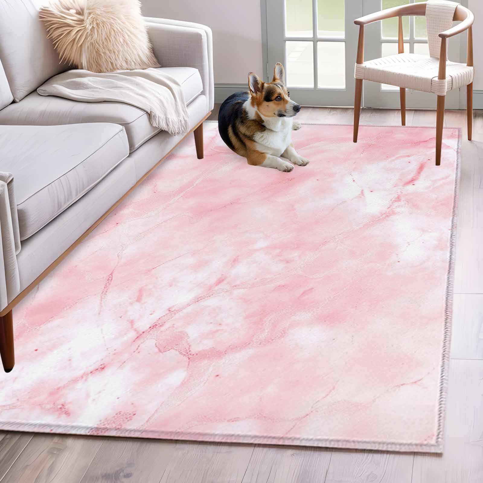 Area Rugs for Living Room 4x6 Ft, Pink Marble Non Slip Area Rugs for ...