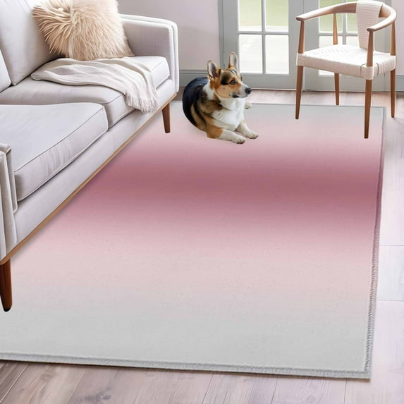 Area Rugs for Living Room 4x6 Ft, Pink Ombre Non Slip Area Rugs for ...