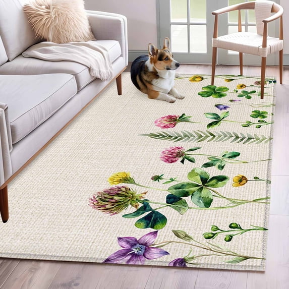 Area Rugs for Living Room 4x6 Ft, St. Patrick's Day Non Slip Area Rugs ...