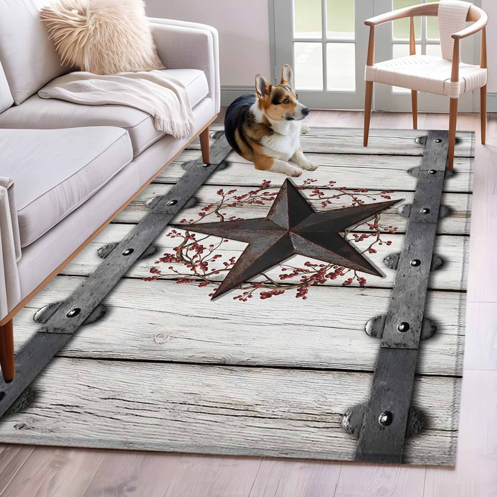 Area Rugs for Living Room 4x6 Ft, Texas Star Retro Non Slip Area Rugs ...