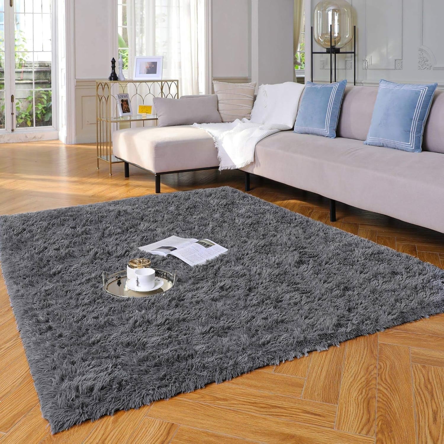 Cshidworld Soft Indoor Area Rug, 4x6 Feet Fluffy Thickened Memory Foam ...