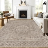 Dowellia Area Rugs for Living Room 8'x 10' Machine Washable Vintage ...