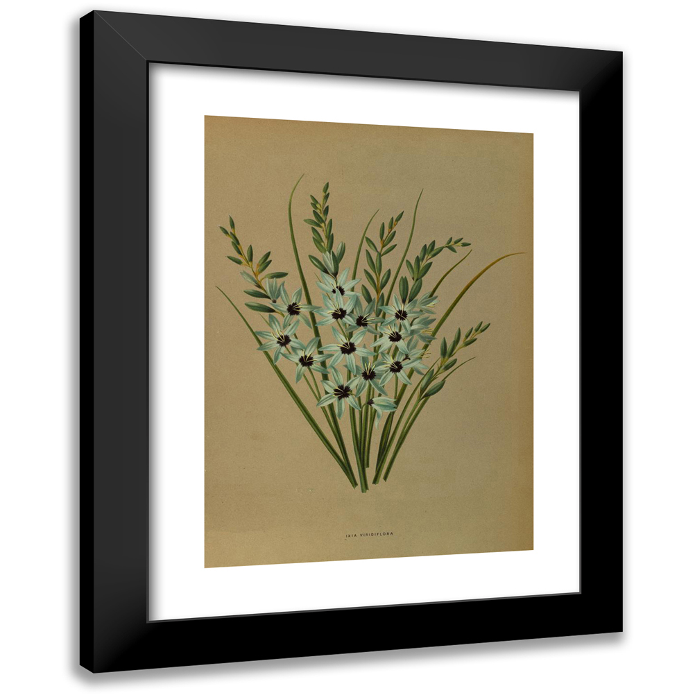 Arentine H. Arendsen 11x14 Black Modern Framed Museum Art Print Titled ...