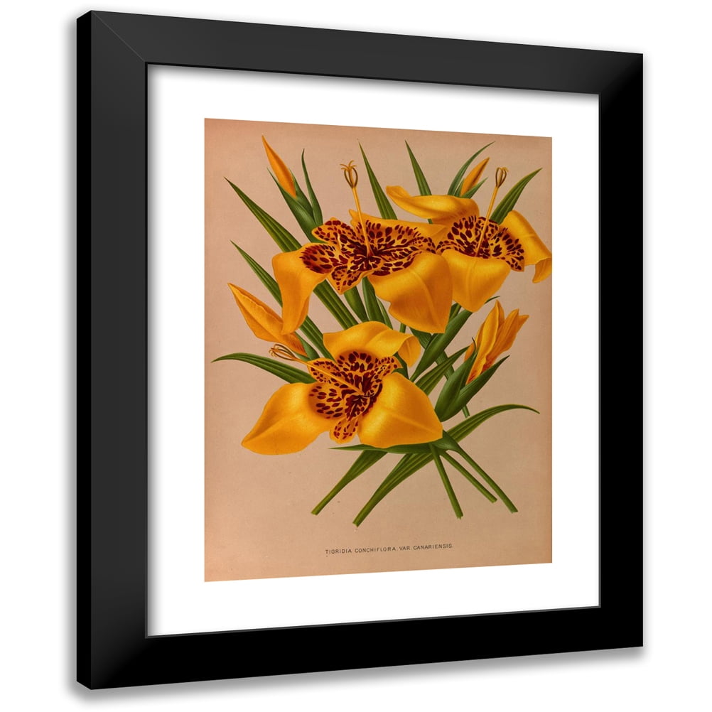 Arentine H. Arendsen 11x14 Black Modern Framed Museum Art Print Titled ...