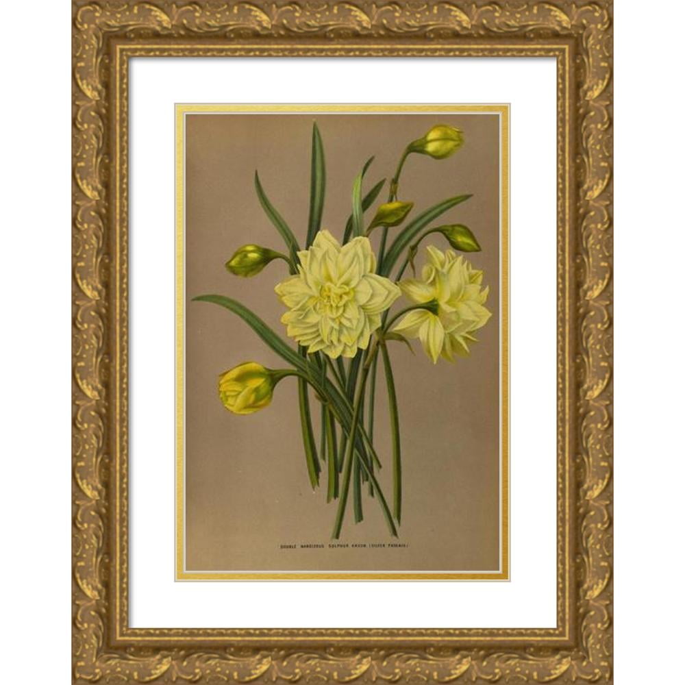 Arentine H. Arendsen 11x14 Gold Ornate Wood Frame and Double Matted ...